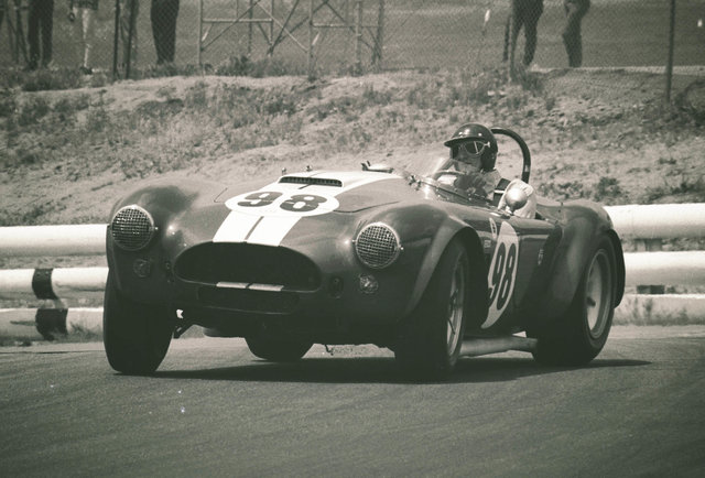 19 Things You Didn't Know About Shelby - PetroliciousPetrolicious