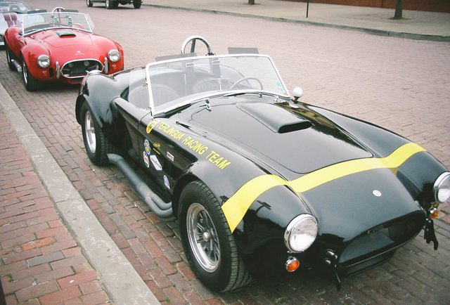 19 Things You Didn't Know About Shelby - PetroliciousPetrolicious