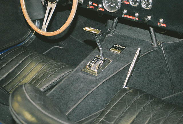 19 Things You Didn't Know About Shelby - PetroliciousPetrolicious