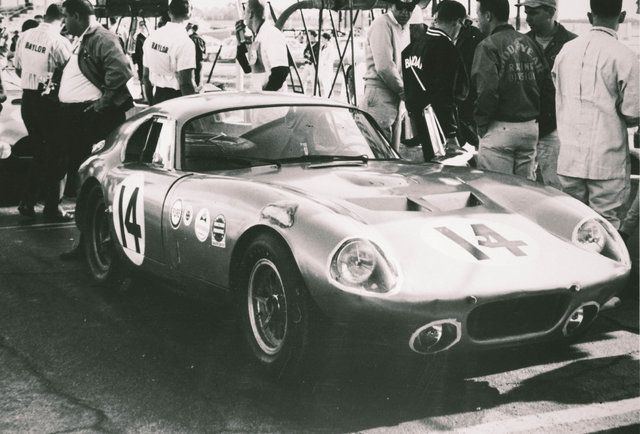 19 Things You Didn't Know About Shelby - PetroliciousPetrolicious