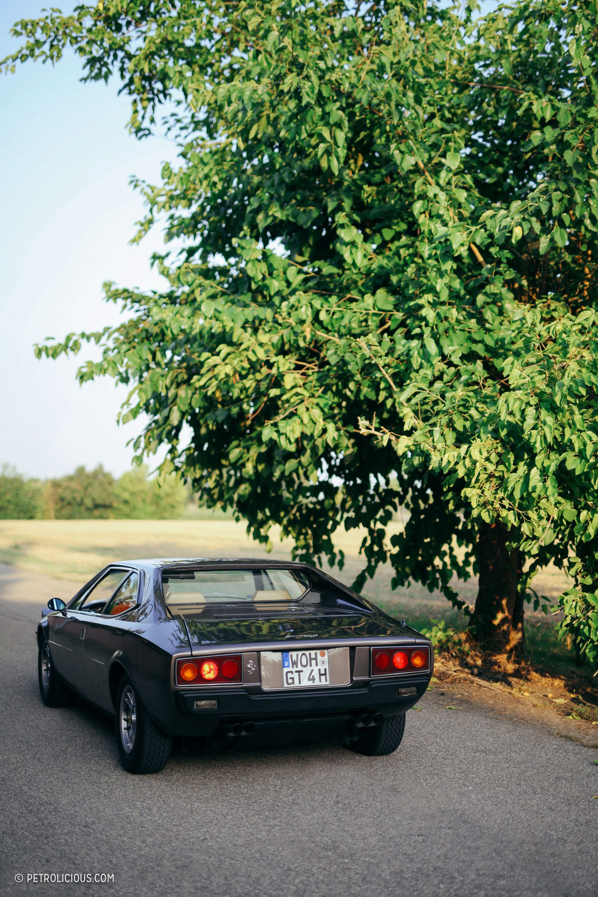 The '70s Called, They Want Their Metallic Brown Ferrari Back - Petrolicious