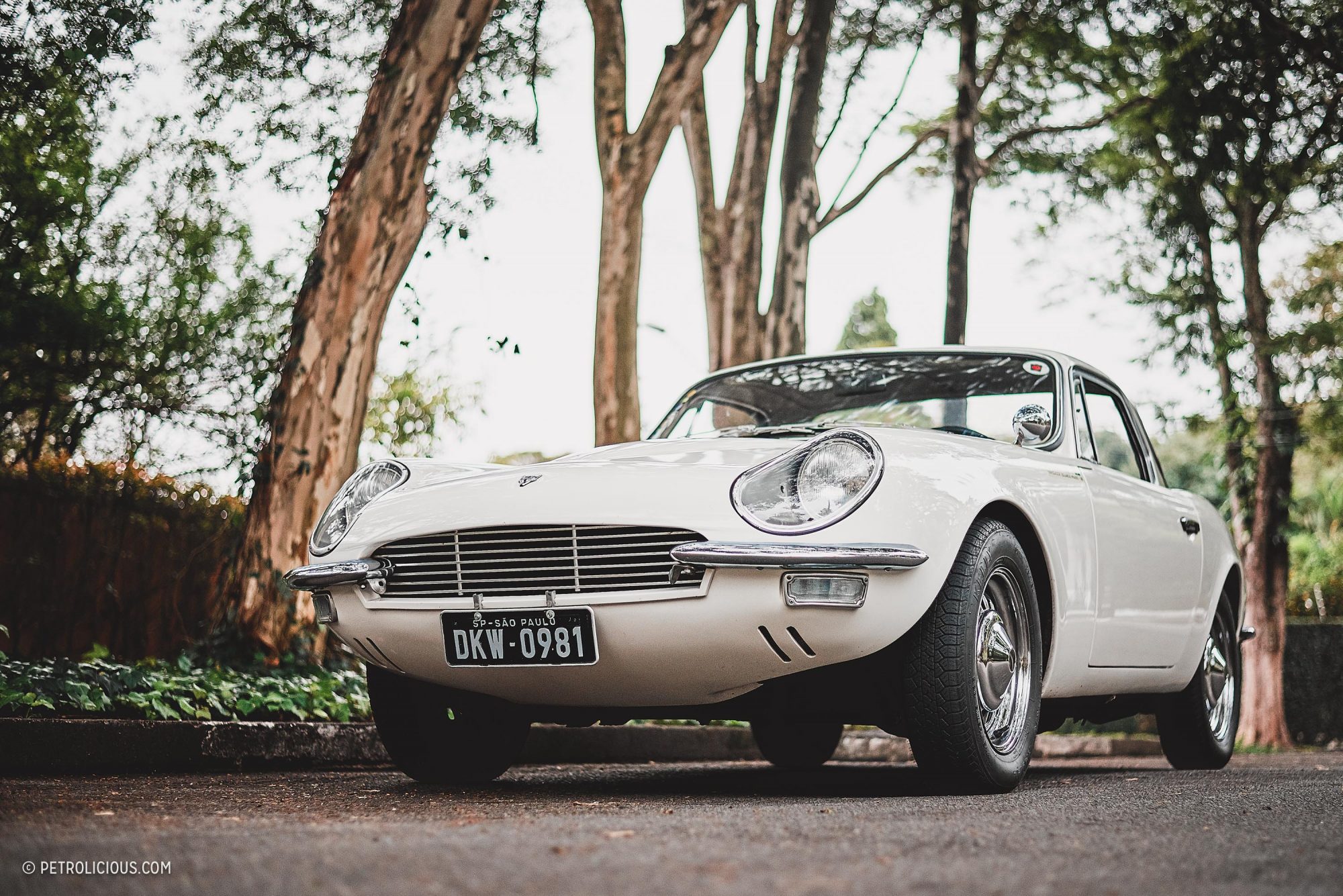 This Brazilian-Built Puma GT Is A Unique Factory Build That's Stayed ...